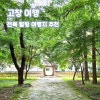 전북 고창 가볼만한곳 선운산도립공원 선운사 복분자 꽃무릇 주차장 여행 추천 네이버 블로그